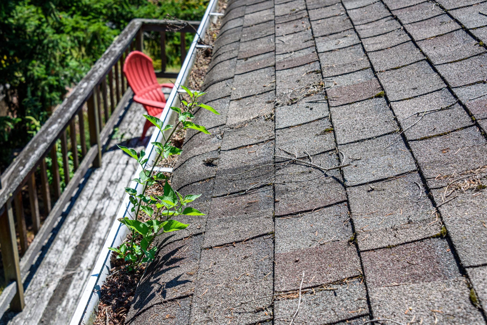 Rain Tanks | How Do I Ensure Consistent, Optimal Rainwater Quality